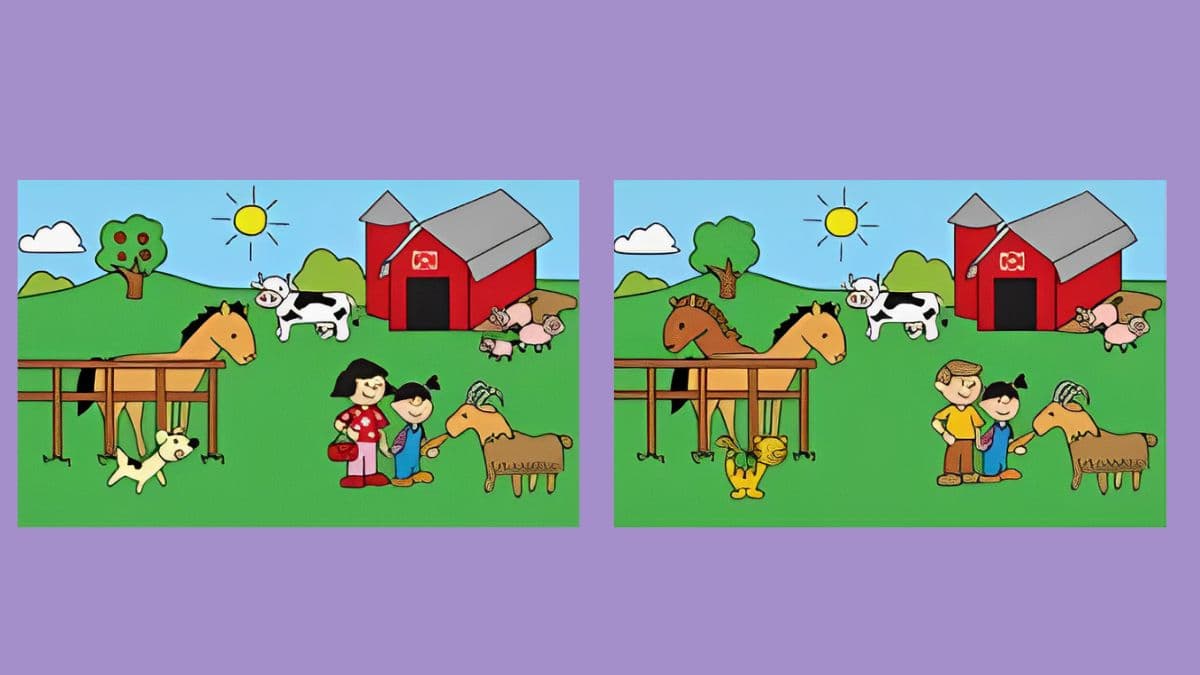 Spot The Difference Can You Spot 5 Differences In 35 Seconds 